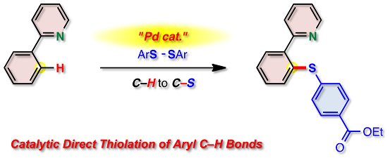RESERCH THEME -FUNCTIONAL ORGANIC CHEMISTRY-